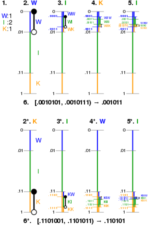 Compression · Michael Buchel